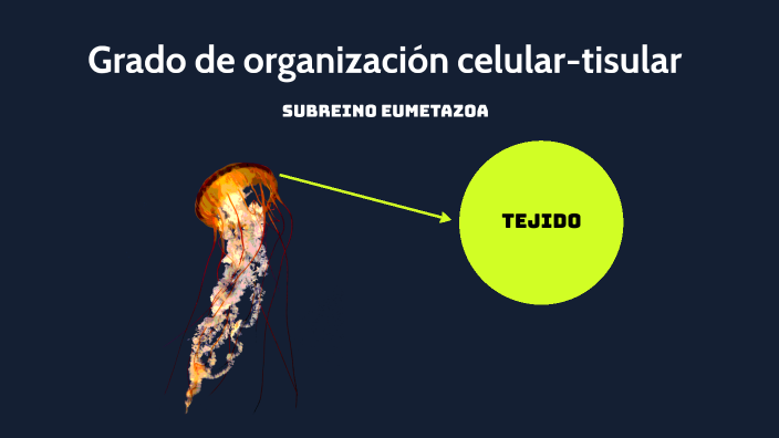 Tisular by Edisson Jumbo on Prezi