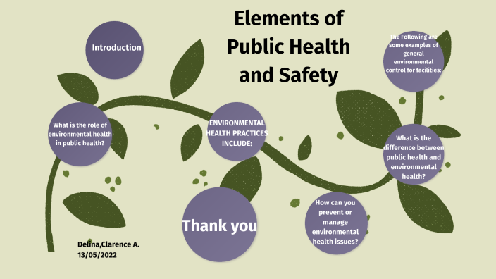 Elements of Public Health and Safety by Jherald Ballena on Prezi