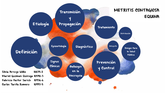 Metritis Contagiosa Equina by Mariel Guzman on Prezi
