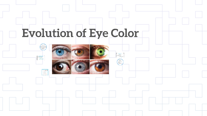 Evolution of Eye Color by Carley Stone on Prezi