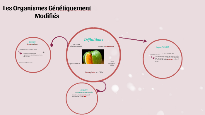 Les Organismes Génétiquement Modifiés by Bonnet Louis on Prezi