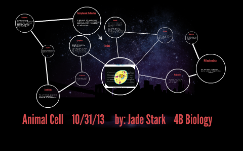 Animal Cell Presentation by: Jade Stark 4B Biology by on Prezi