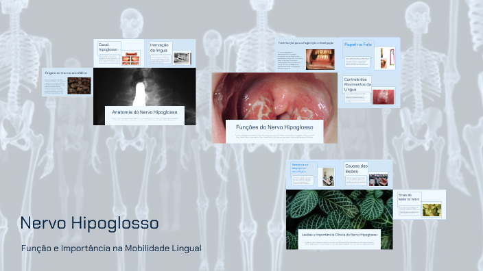 Nervo Hipoglosso by Vinicius Esteves bulcao on Prezi