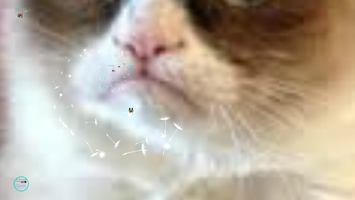 BizWorld Bazaar by Morgan Showalter on Prezi