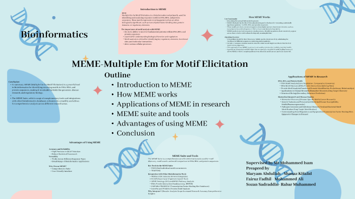 MEME Multiple Em for Motif Elicitation, is a bioinformatics tool ...