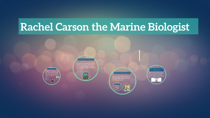 Rachel Carson the Marine biologist by masha sapozhnikov on Prezi