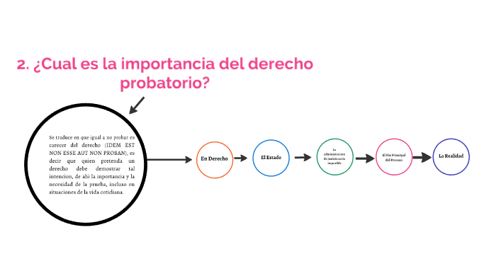 2. ¿Cual es la importancia del derecho probatorio? by alejandra criollo ...