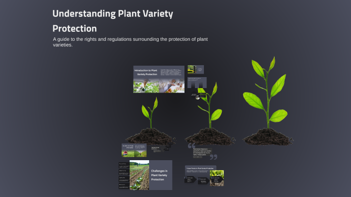 Understanding Plant Variety Protection by Nicole Alvarez on Prezi