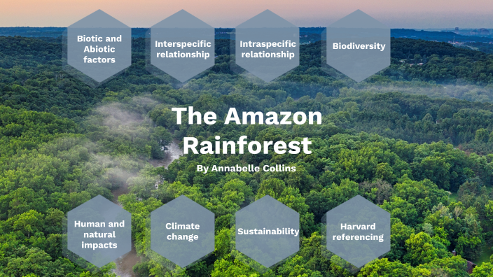 Science assessment task 3-Amazon rainforest by Annabelle Collins on Prezi