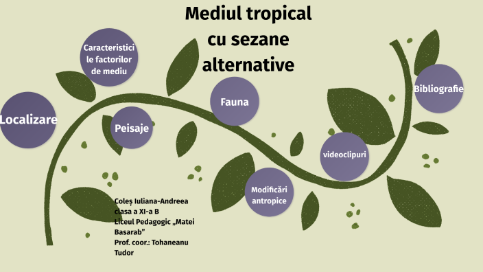 Mediul tropical cu sezoane alternative by Coles Iuliana Andreea on Prezi