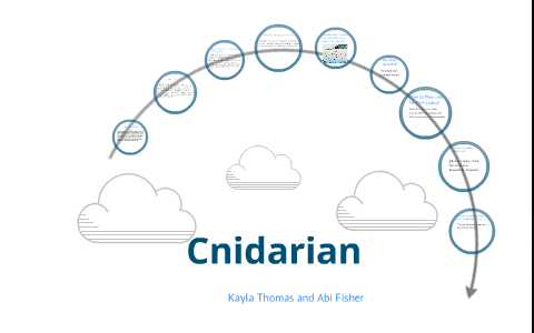 Animal Kingdom Research Project by Abi Fisher on Prezi