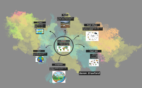 Biomes by Saxon Crawford on Prezi