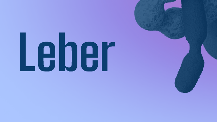 Leber by Marie Herrmann on Prezi