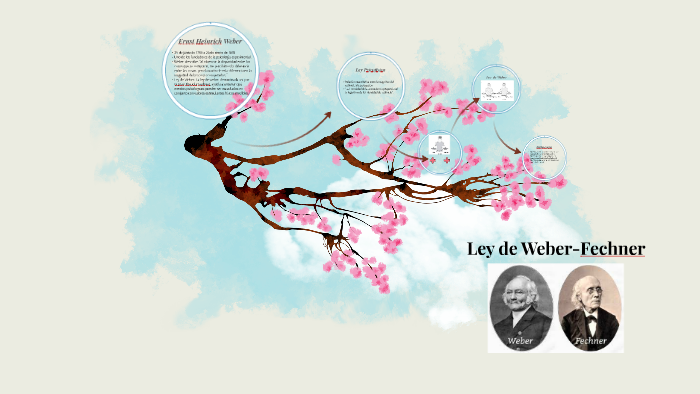 Ley de Weber-Fechner by Karlita Ampudia on Prezi
