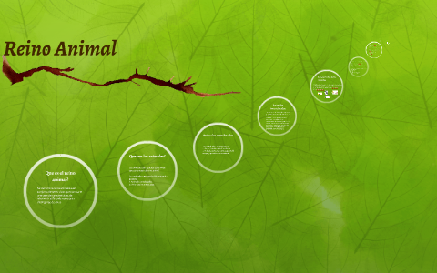 Reino Animal by Brian Lemos on Prezi