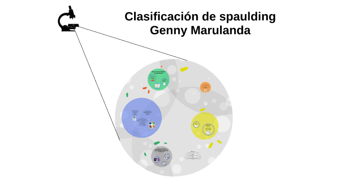 Clasificación de spaulding by Genny Lorena Marulanda Ospina on Prezi