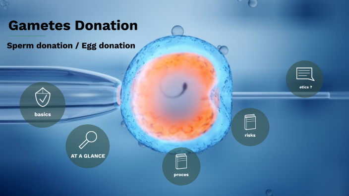 gametes donation by Dagmar Pilikova on Prezi