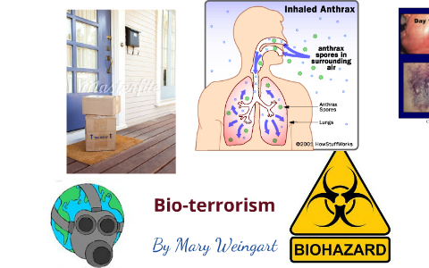 Bioterrorism Persuasive speech visual aid by Mary Weingart on Prezi