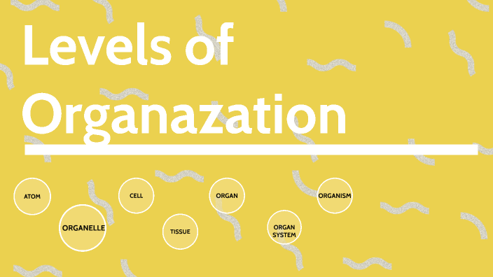 Levels of Organization Presentation by Rosabella Vecchio [STUDENT] on Prezi