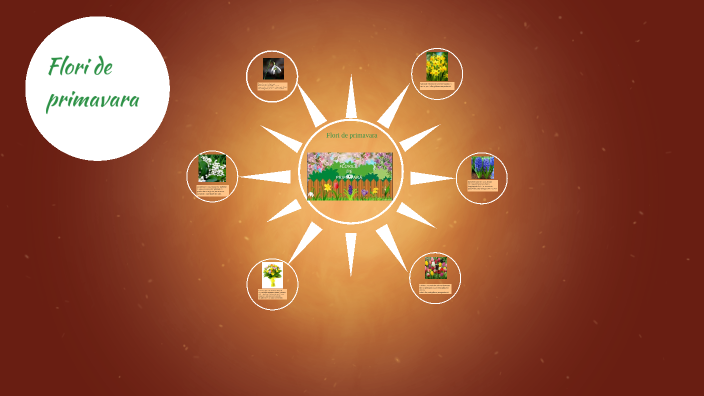 FLORI DE PRIMAVARA by stefania gusan on Prezi