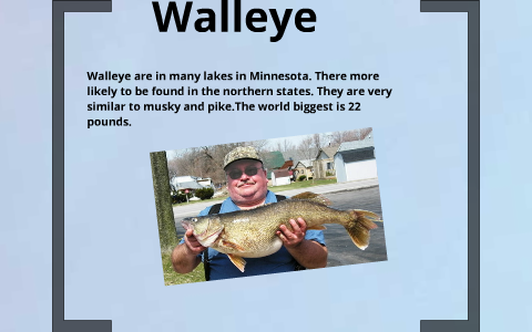 different types of fish in lakes and rivers by Aaron Kreps on Prezi