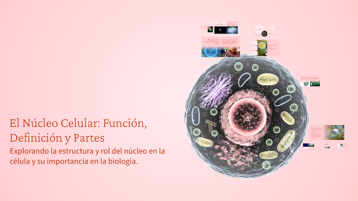 El Núcleo Celular: Función, Definición y Partes by luis delgado on Prezi