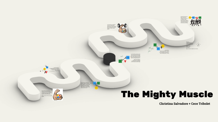 The Mighty Muscle by Christina Salvadore on Prezi