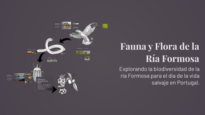 Fauna y Flora de la Ría Formosa by indira jimenez on Prezi