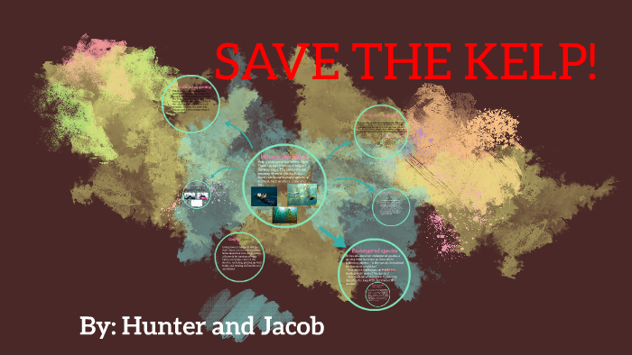 Alaskan Kelp Forest by Jacob Hearington on Prezi