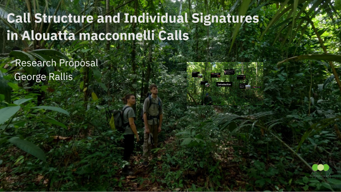 Call Structure and Individual Signatures in Alouatta seniculus Calls by ...