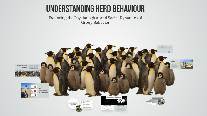 Understanding Herd Behaviour by Nikola Marjanovic on Prezi