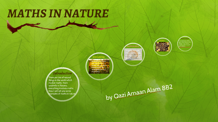 MATHS IN NATURE by Qazi Amaan Alam