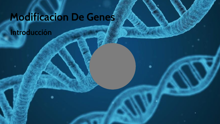 Modificación De Genes by Katherine Suarez on Prezi