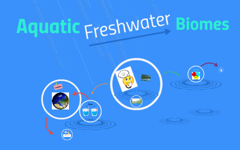 Aquatic Freshwater Biomes by Spanish Presentation on Prezi