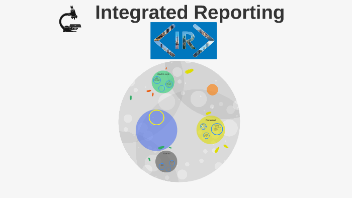 Integrated Reporting by Tina Tibo on Prezi