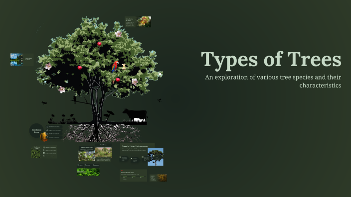 Types of Trees by Truica Marius on Prezi