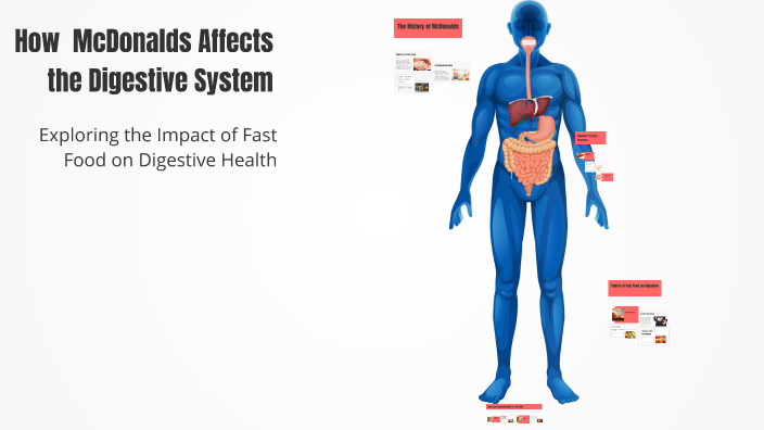 How Fast Food Affects the Digestive System by Aniya Relf on Prezi