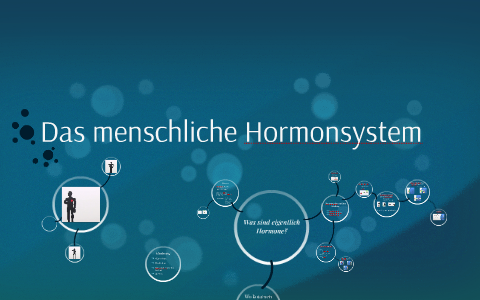 Das menschliche Hormonsystem by Louisa Rockstedt on Prezi