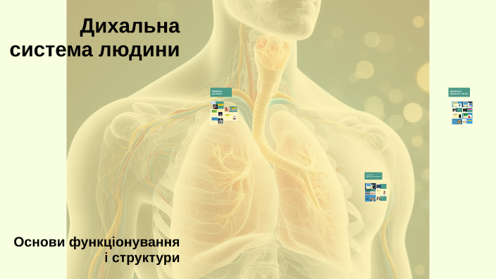 Дихальна система людини by Inna Babich on Prezi
