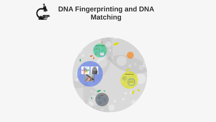 CSI (DNA Fingerprinting and DNA Matching by Grace Moore on Prezi