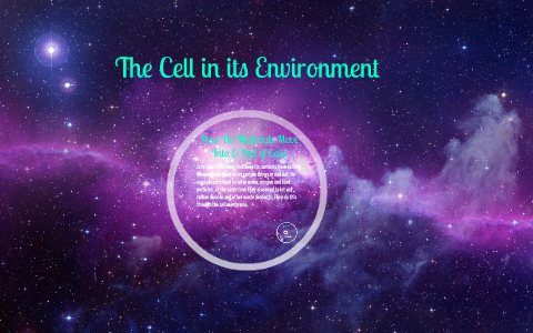 Lesson four : the cell in its enviroment by DSK 12 on Prezi
