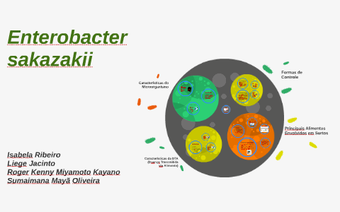 Enterobacter Sakazakii by Isabela Ribeiro on Prezi
