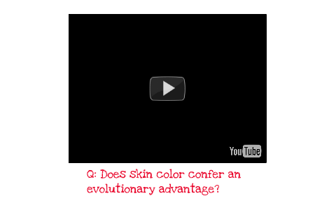 Under the Skin: The Evolution of Human Skin Color by Celine Fook on Prezi