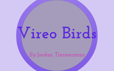 Vireo Bird By: Jordan Timmerman by Literacy 3Quarter on Prezi