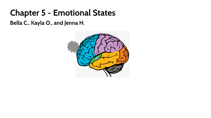 Brain book project by Jenna Hale on Prezi