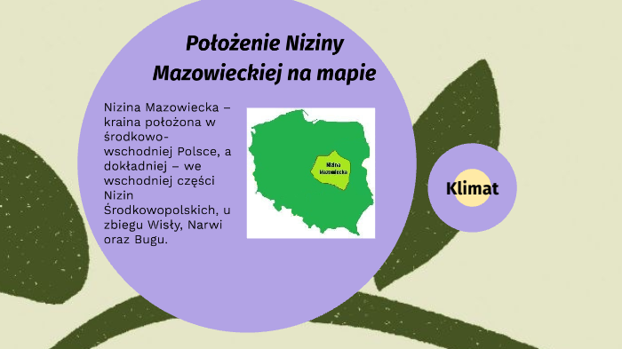 Nizina Mazowiecka By Gabrysia Dąbrowska On Prezi
