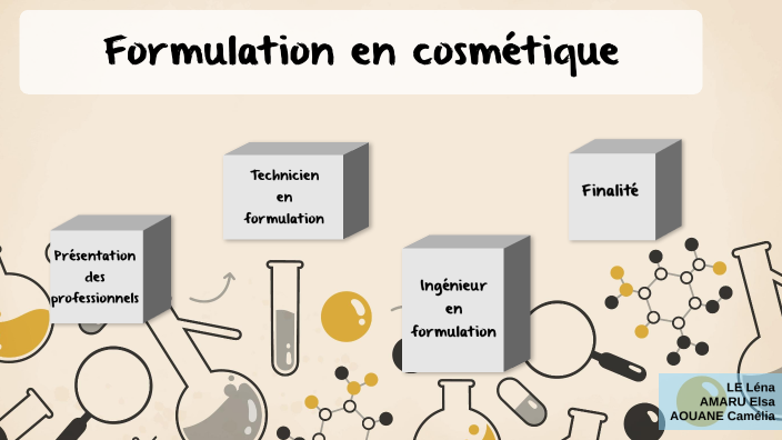 PPP Formulation by Elsa AMARU on Prezi