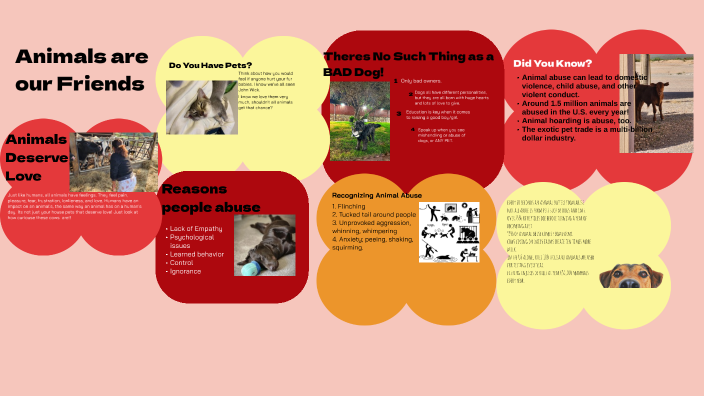 PSA on Animal Abuse by Yedid Fernandez on Prezi