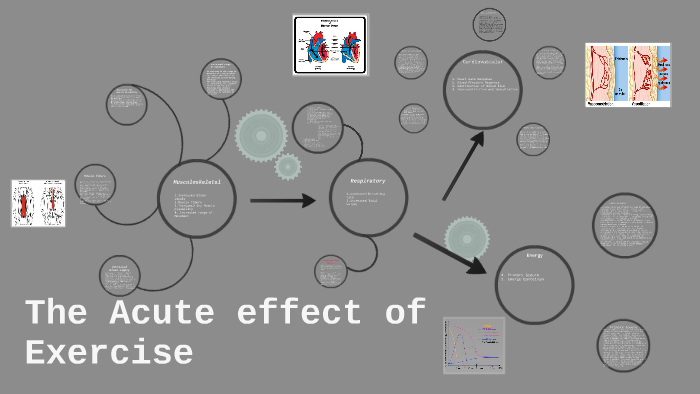 The Acute effect of Exercise by Tom Stone on Prezi