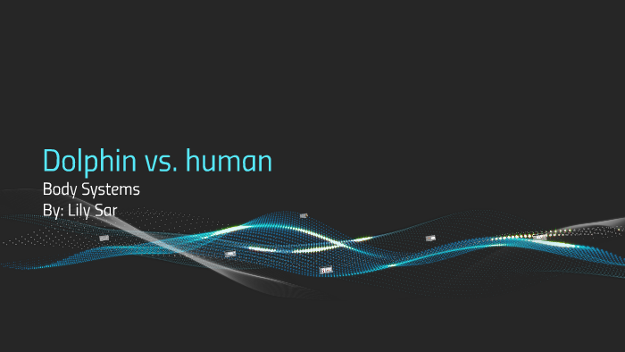 Dolphin vs. human by on Prezi